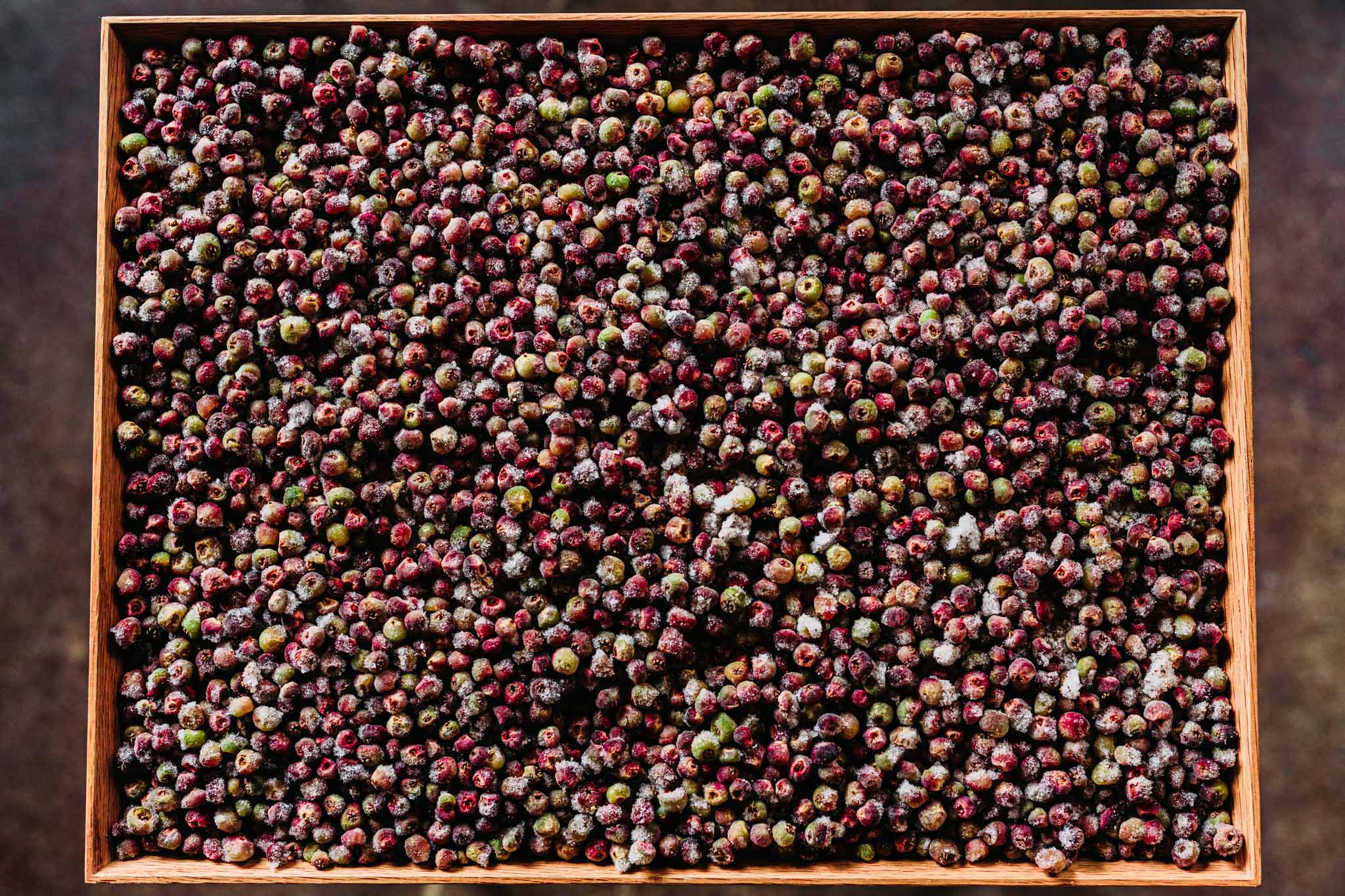 botanical profile: muntries – Applewood Distillery